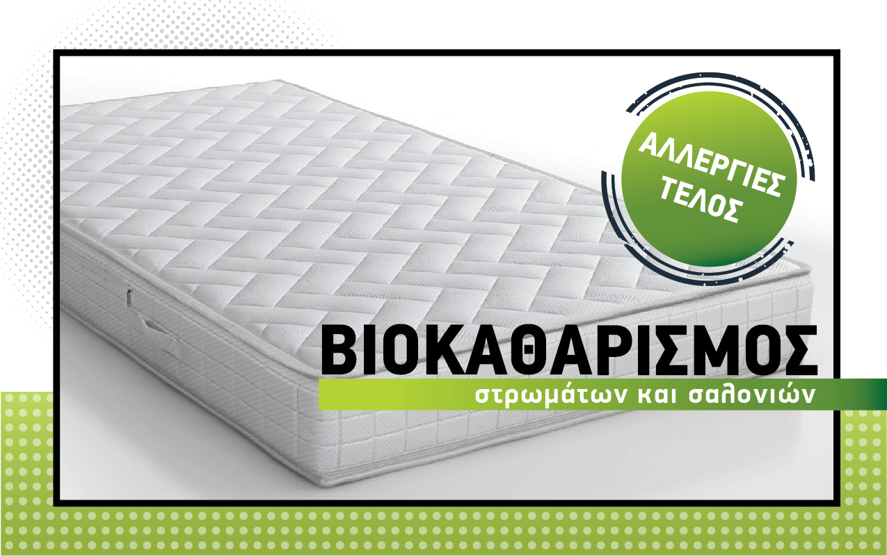 Απεντομώσεις Ηράκλειο Κρήτης | BioCity Απεντομωτική